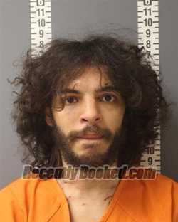 Recent Booking / Mugshot for RONALD JAMES MITCHELL in Dauphin County ...