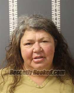 Recent Booking / Mugshot for NATALIE ANN BRANDT in Dauphin County ...