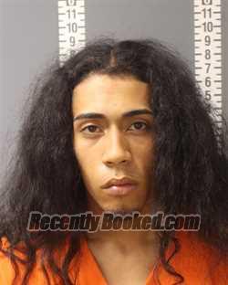 Luis Ja Estevez-Peralta Mugshot & Arrest Info | Dauphin County, PA