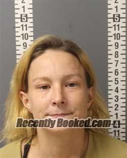Recent Booking / Mugshot for CHELSEA FIES in Dauphin County, Pennsylvania