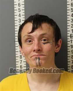 Recent Booking / Mugshot for SHANNON ARIEL WEAVER in Dauphin County ...