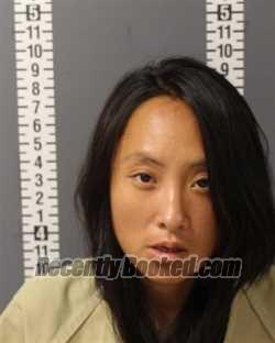 Recent Booking / Mugshot for JULIA CHOY in Dauphin County, Pennsylvania