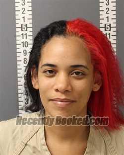 SARAH IVELISSE COLLAZO Arrest Record & Booking Info – Dauphin County ...