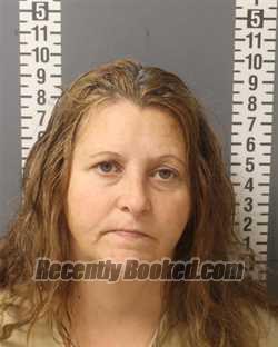 Recent Booking / Mugshot for TENIKA MARIA LEHMAN in Dauphin County ...