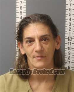Recent Booking / Mugshot for MICHELLE RENEE KLINE in Dauphin County ...
