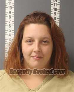 Recent Booking / Mugshot for DANIELLE CHRISTEN FINK in Dauphin County ...