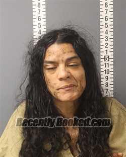 Recent Booking / Mugshot for AMY REYES in Dauphin County, Pennsylvania