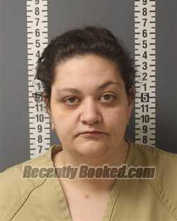 Recent Booking / Mugshot for SIERRA HASSINGER in Dauphin County ...