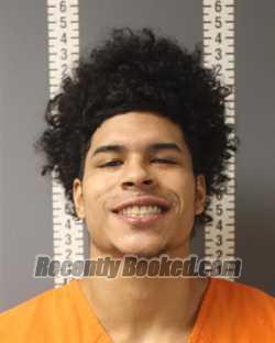 SAVILLE LEE POPE Arrest Record & Booking Info – Dauphin County ...