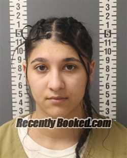 Recent Booking / Mugshot for ANA MARIA CODREANU in Dauphin County ...