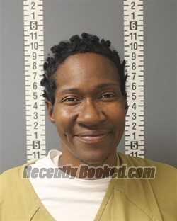 Recent Booking / Mugshot for JOHNISHA N HARRIS in Dauphin County ...
