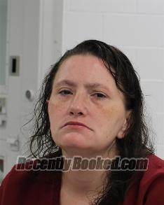 Recent Booking / Mugshot for CHASTITY ELIZABETH ROSENBERGER in Fayette ...