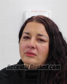 Jennifer Leah Shultz Mugshot & Arrest Info | Fayette County, PA