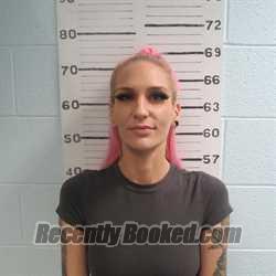 Recent Booking / Mugshot for ANDREA JELLOTS in Greene County, Pennsylvania