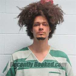 Recent Booking / Mugshot for TYLER ELLIOT MCCUNE in Greene County ...