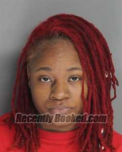 Recent Booking / Mugshot for AMANDA COPELAND in Aiken County, South ...