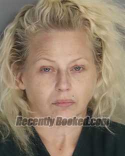 Recent Booking / Mugshot for SANDY GASKINS in Aiken County, South Carolina