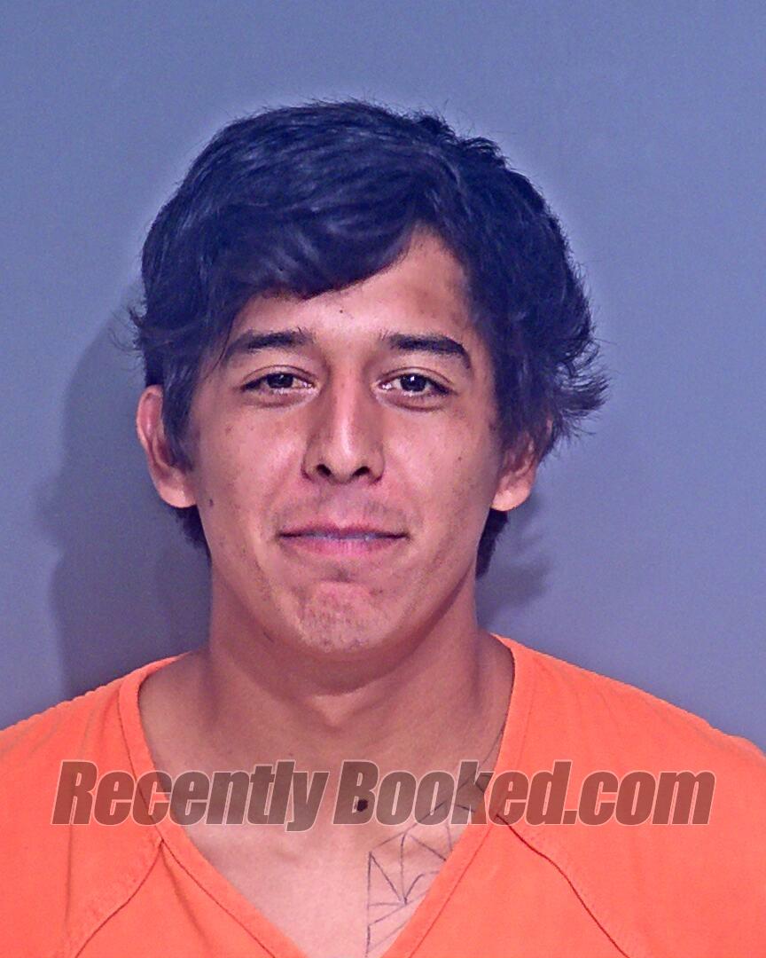 Recent Booking / Mugshot for JONATHAN LONNIE-CHEY BUCK in Baldwin ...