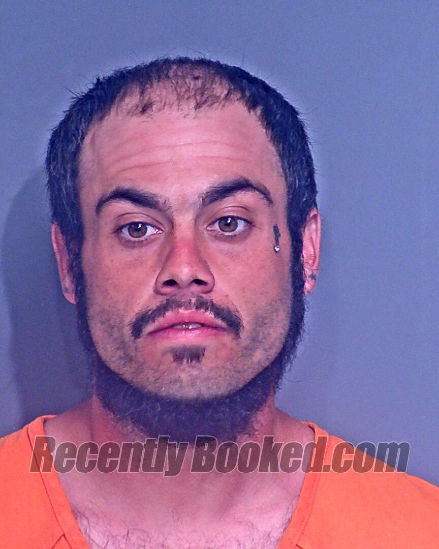 Recent Booking / Mugshot for KENNETH JEFFERY DYER in Baldwin County ...