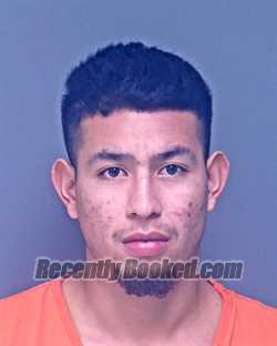 Recent Booking / Mugshot for MELVIN JOSUE RUEDA-AGUILAR in Baldwin ...