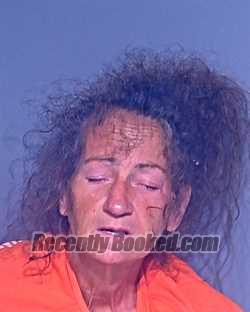 Recent Booking / Mugshot for SONYA HARRISON HOLLEY in Baldwin County ...