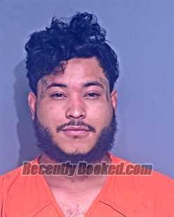 Recent Booking / Mugshot for RENA ORLANDO MEJIA-MEJIA in Baldwin County ...