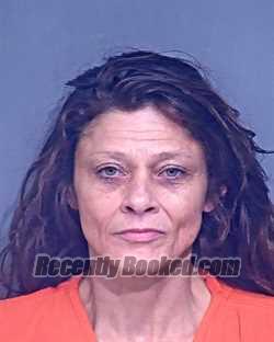 Recent Booking / Mugshot for AMANDA LOU PILGRIM in Baldwin County, Alabama