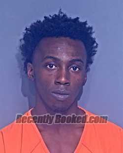 Recent Booking / Mugshot for STEVEN DEANDRE PALMER in Baldwin County ...