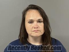 Recent Booking / Mugshot for ROBIN ELLISON in Blount County, Alabama