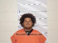 Recent Booking / Mugshot for ELIJAH W CHAMBERLAIN in Butler County, Alabama