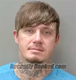 Recent Booking / Mugshot for Corey Lynn Angle in Calhoun County, Alabama