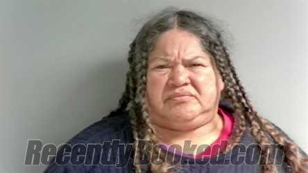 Recent Booking / Mugshot for Martha Rosa Cachemaille in Calhoun County ...