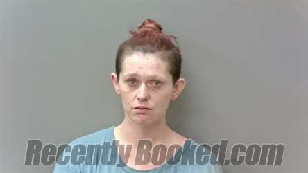 Recent Booking / Mugshot for Kristine Michelle Dorl in Calhoun County ...