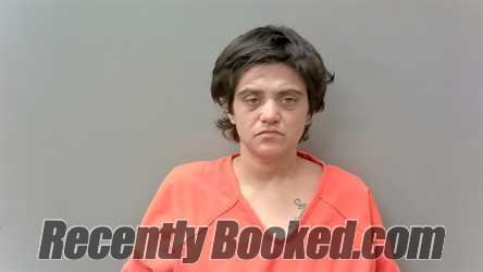 Recent Booking / Mugshot for Christin Faith Goldsmith in Calhoun County ...