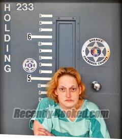 Recent Booking / Mugshot for STEPHANIE EPPS in Cherokee County, Alabama