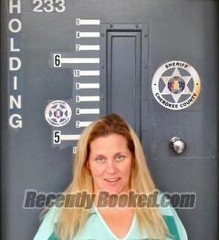 Recent Booking / Mugshot for AMANDA EARLY in Cherokee County, Alabama