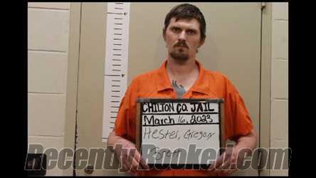 Recent Booking / Mugshot for GREGORY BRETT HESTER in Chilton County ...