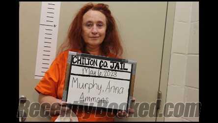 Anna Ammons Murphy Arrest & Booking Info | Chilton County, AL