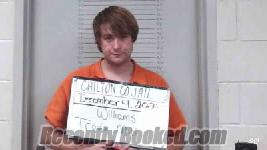Recent Booking / Mugshot for TRAVIS MICHAEL WILLIAMS in Chilton County ...