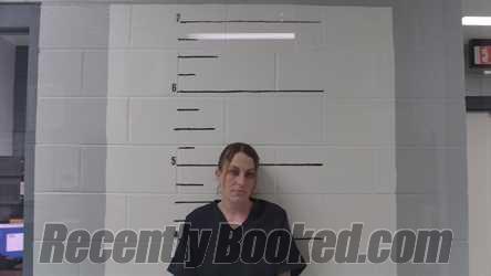 Recent Booking / Mugshot for Erica Jean Minter in Clay County, Alabama