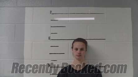 Recent Booking / Mugshot for Hannah Trull Armbrester in Clay County ...