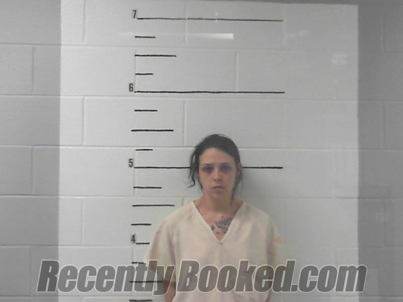 Recent Booking / Mugshot for Haylee Bryanna Dean in Clay County, Alabama