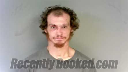 Recent Booking / Mugshot for Wesley Dewayne Coheely in Cleburne County ...