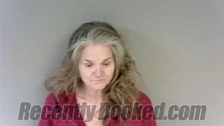 Recent Booking / Mugshot for Misty Brown Neely in Cleburne County, Alabama
