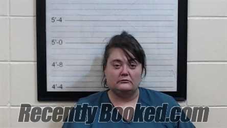 DEANNA NICOLE HANCOCK Arrest Record & Booking Info – Coffee County ...