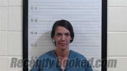 Recent Booking / Mugshot for DEBRA KAY BECK in Coffee County, Alabama