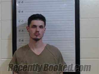 Recent Booking / Mugshot for TYLER DAVID GREENWAY in Coffee County, Alabama