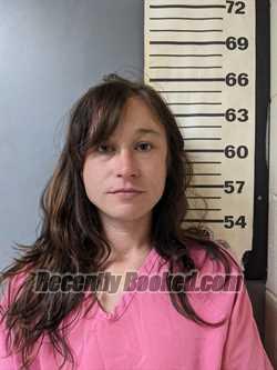Recent Booking / Mugshot for BRITTANY NICOLE HALL in Covington County ...