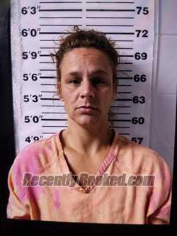 Recent Booking / Mugshot for TABITHA ANN JENKINS in Covington County ...