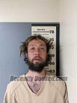 Recent Booking / Mugshot for BRETT JAMES PIERSON in Covington County ...